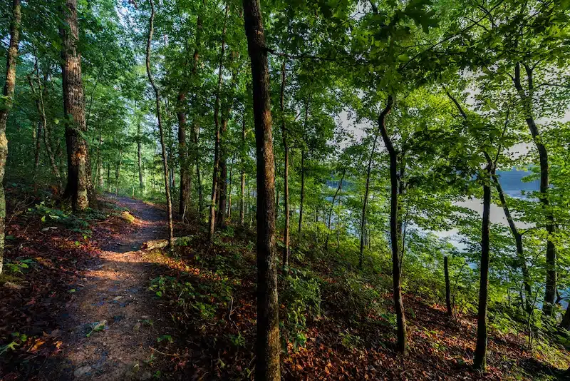 Johns Creek Treatment Center | The Berman Center